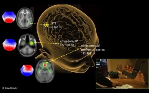 Morality in the Brain | Advaita Vision
